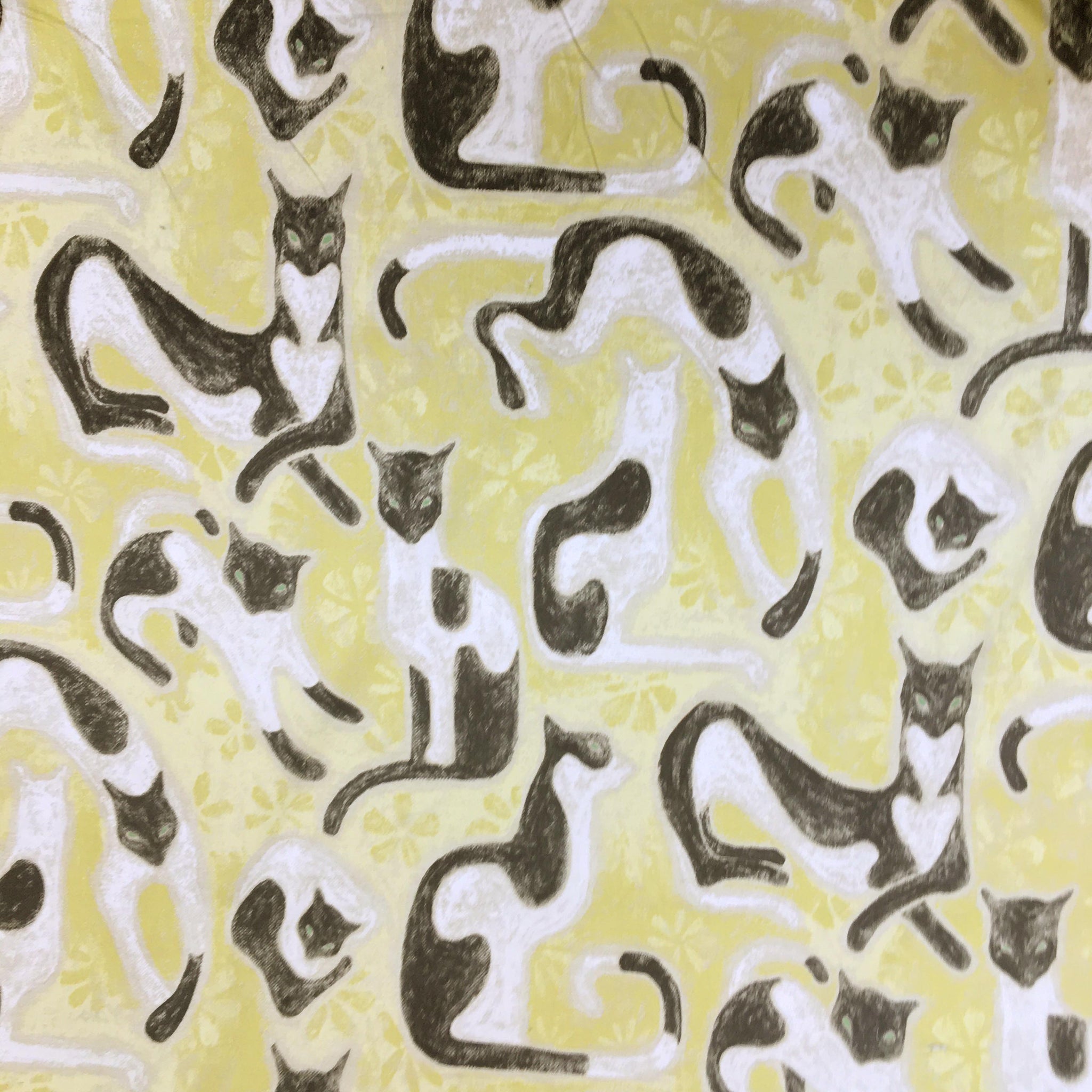 Omega Cats – My Fabric Place